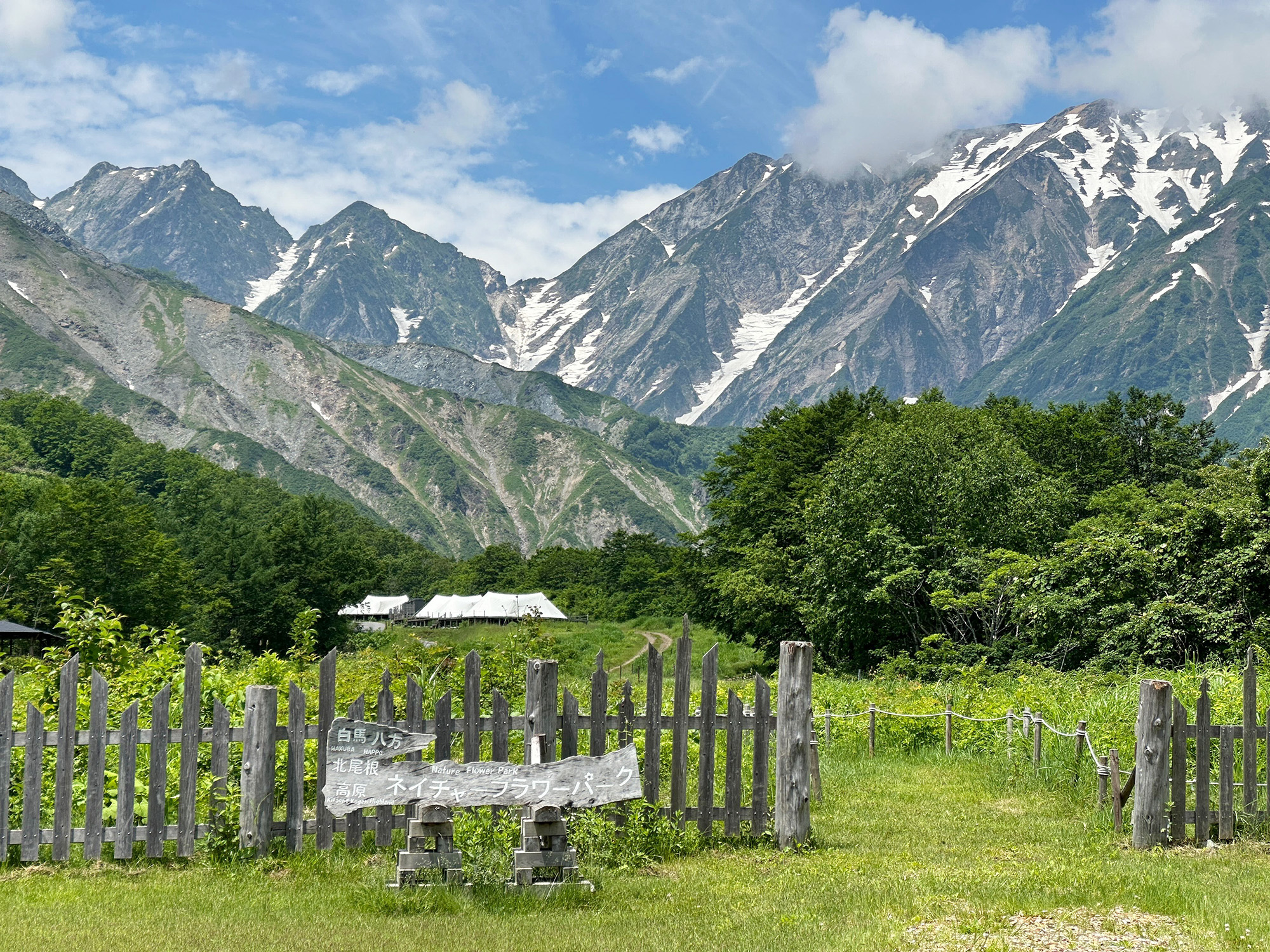 7/3 CBCテレビ制作・TBS系列「ゴゴスマ～GO GO！Smile！～」でFIELD SUITE HAKUBAが生中継されます | Snow Peak FIELD SUITE HAKUBA ...